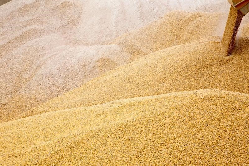 Weak Chinese demand leaves Australia with too much wheat | Flipboard