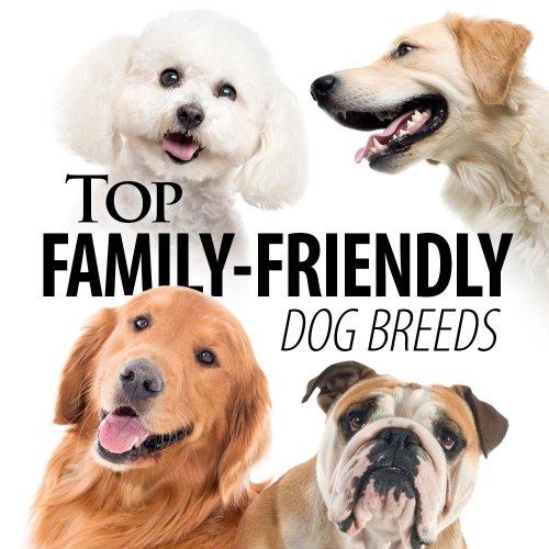 Family-Friendly Dog Breeds: Which One is Right for You? | Jeffers Pet ...