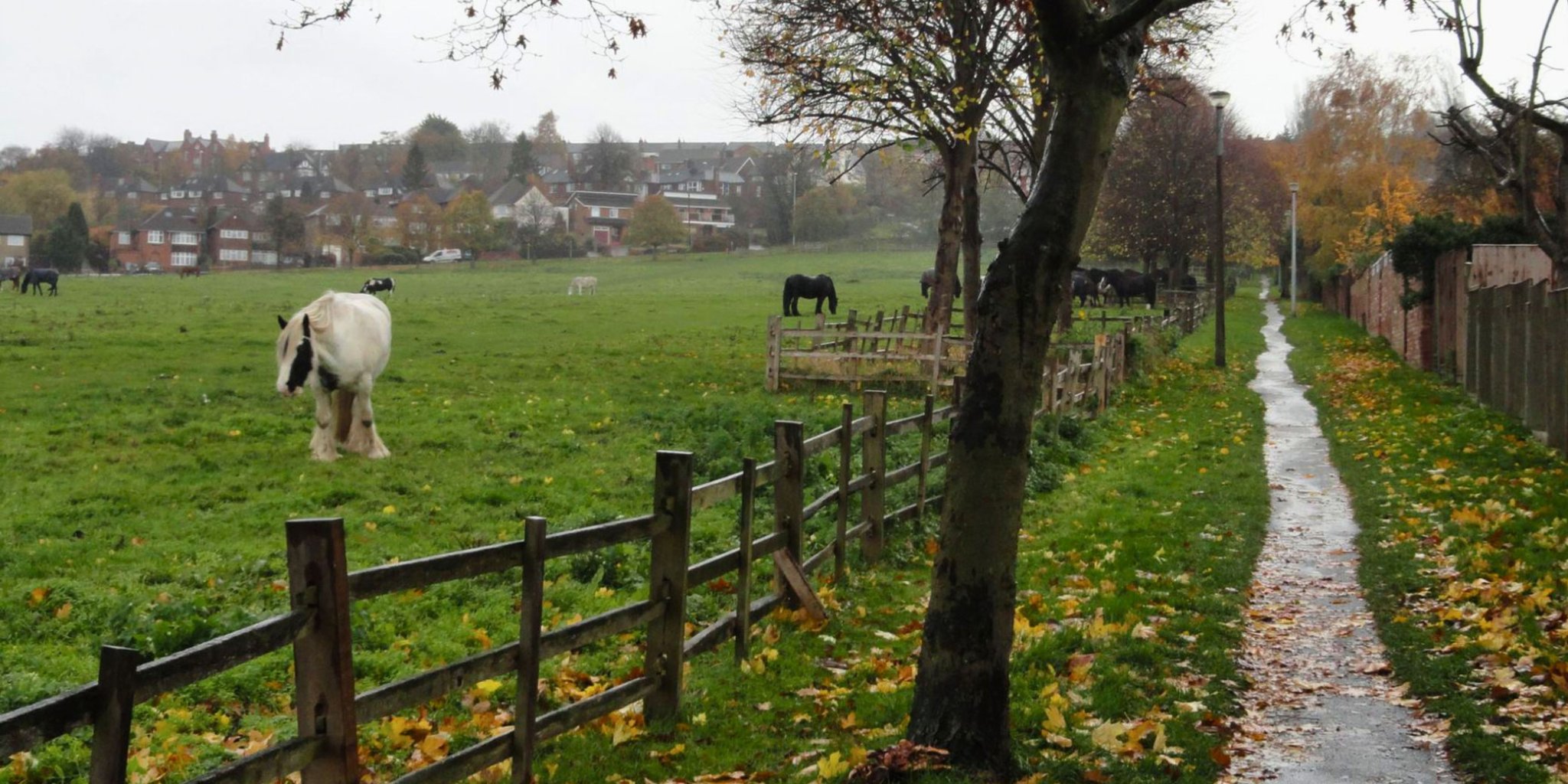 'Turnip' Townsend: The green thumb behind the British agricultural revolution | Flipboard