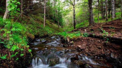 The Environment, We Live Here | @kon4444