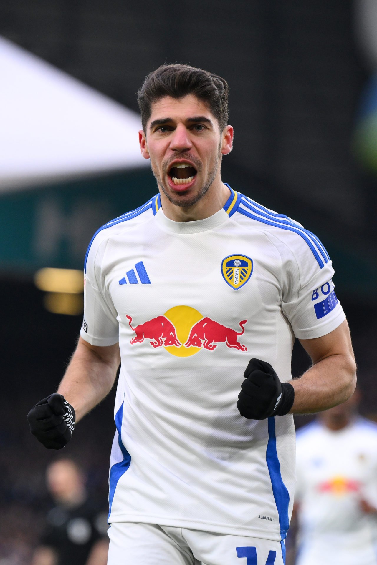 Leeds United News | @LeedsUnitedNews | Flipboard