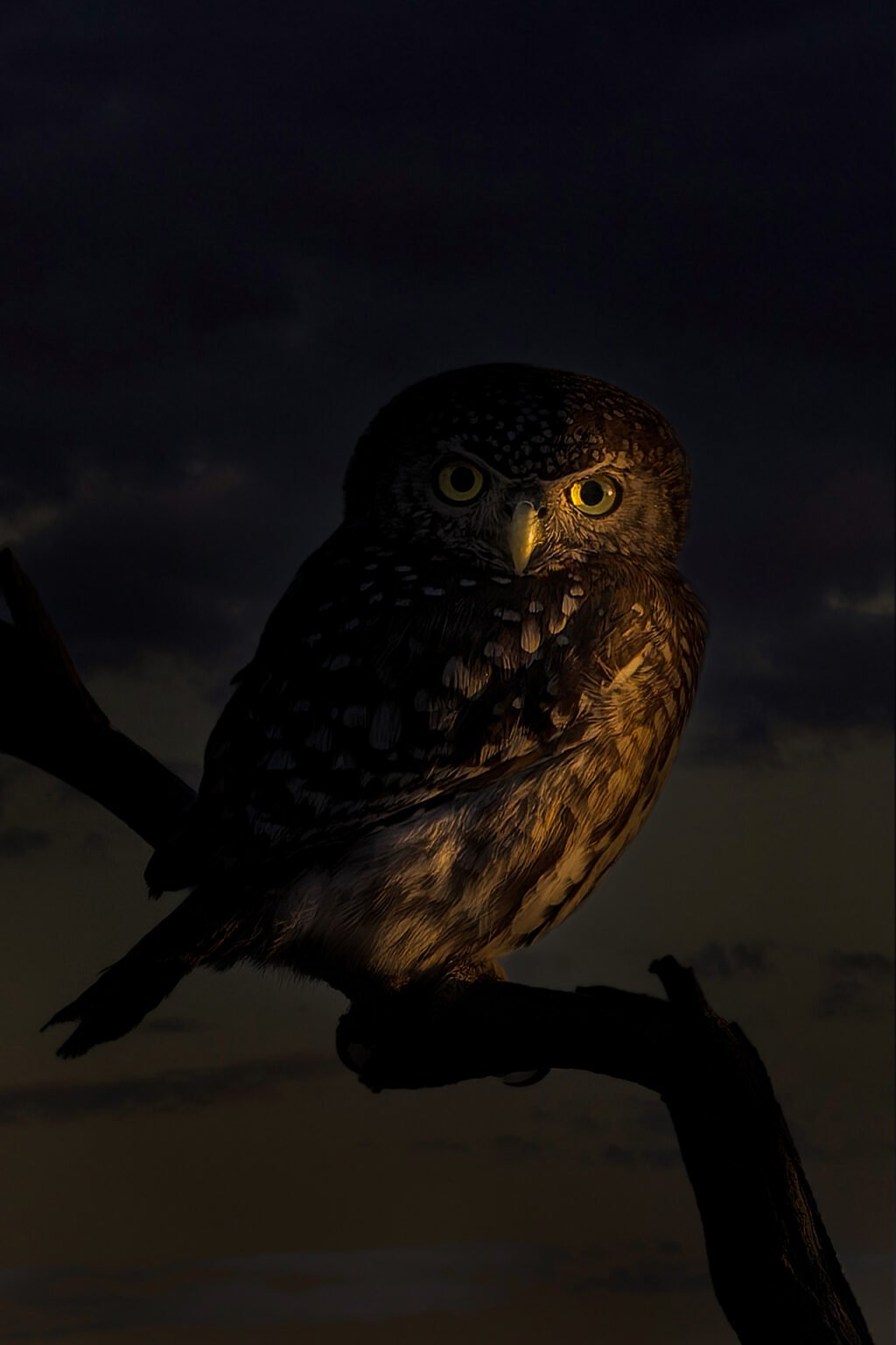 Shadows And Light, Astrophotography – The Weekly Light Stalking Community Roundup | Flipboard