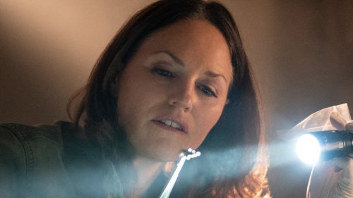 CSI's Jorja Fox Didn't Take A Single Class In Gun Safety For Her Role ...