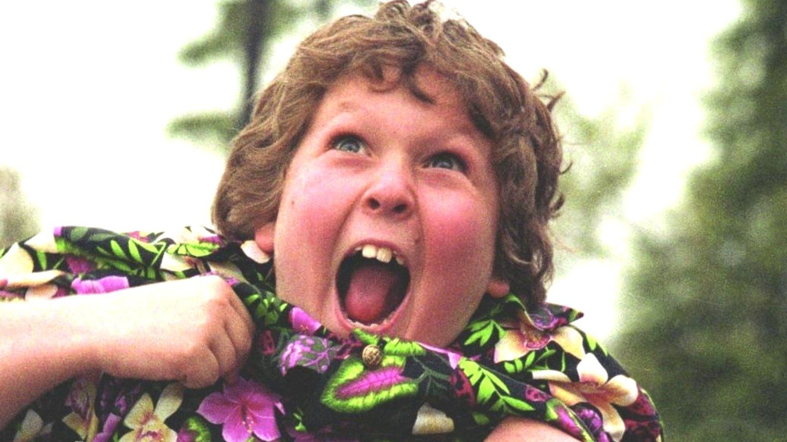 You Won't Believe What Chunk From The Goonies Looks Like Now | Flipboard