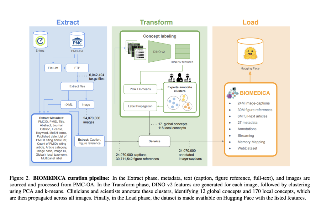 Stanford Researchers Introduce BIOMEDICA: A Scalable AI Framework for ...
