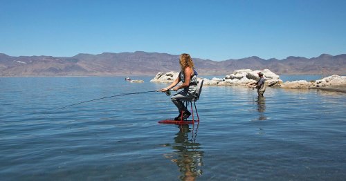 Pyramid Lake, NV, Is the Only Place To Fish for Rare the Cui-Ui Fish ...