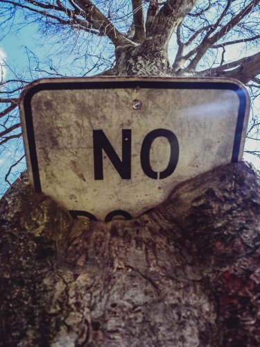 How To Get Over The Fear Of Rejection In Photography Flipboard