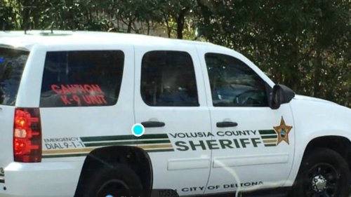 He Was Pulled Over For An Expired Tag In Central Florida Then Cops he-was-pulled-over-for-an-expired-tag-in-central-florida-then-cops