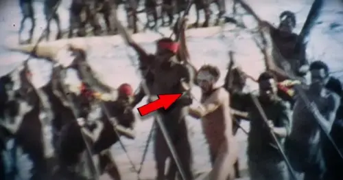 Missing millionaire spotted living amongst cannibal tribe in long lost ...