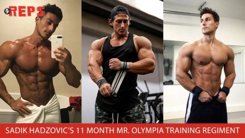 Sadik Hadzovic’s 11-Month Mr. Olympia Bodybuilding Training Regimen ...