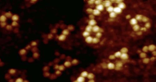 Scientists Capture World's Very First X-Ray of a Single Atom | Flipboard