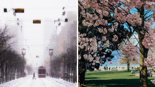 Canada's New Spring Forecast Calls For More Winter Weather Before The ...