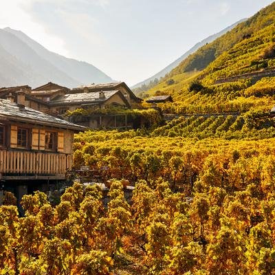 A guide to Alpine wine and where to enjoy it | Flipboard