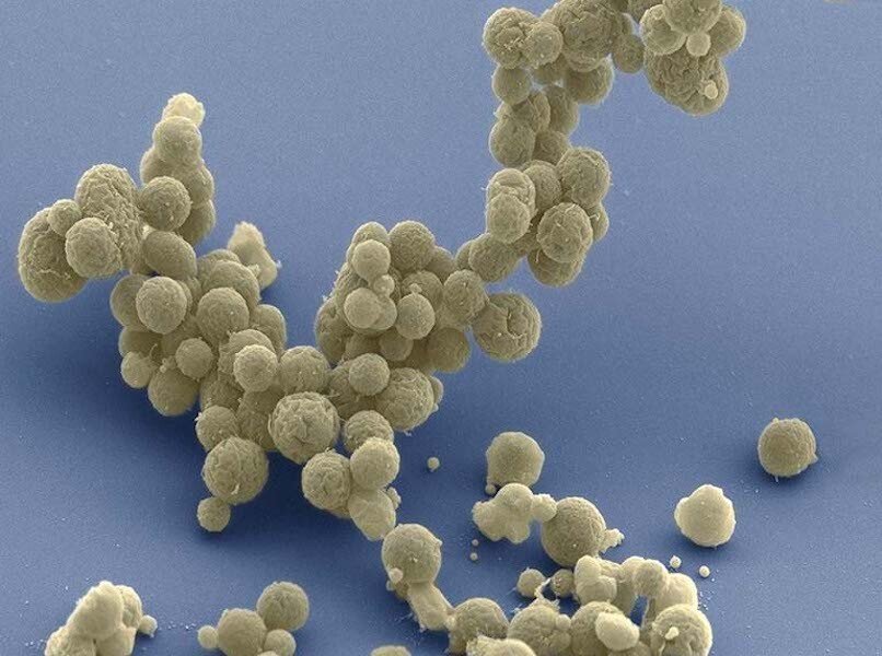 Natural Science | @trhodes9 | Flipboard