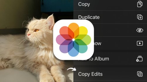 How To Copy And Paste Photo Edits On iPhone: A Step-By-Step Guide ...