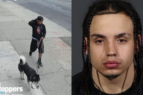 Who is Brandon Rodriguez? Child Predator Used His Dog to Lure Children ...