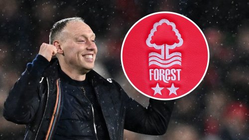 Five of Steve Cooper’s key Nottingham Forest stars who could join him ...