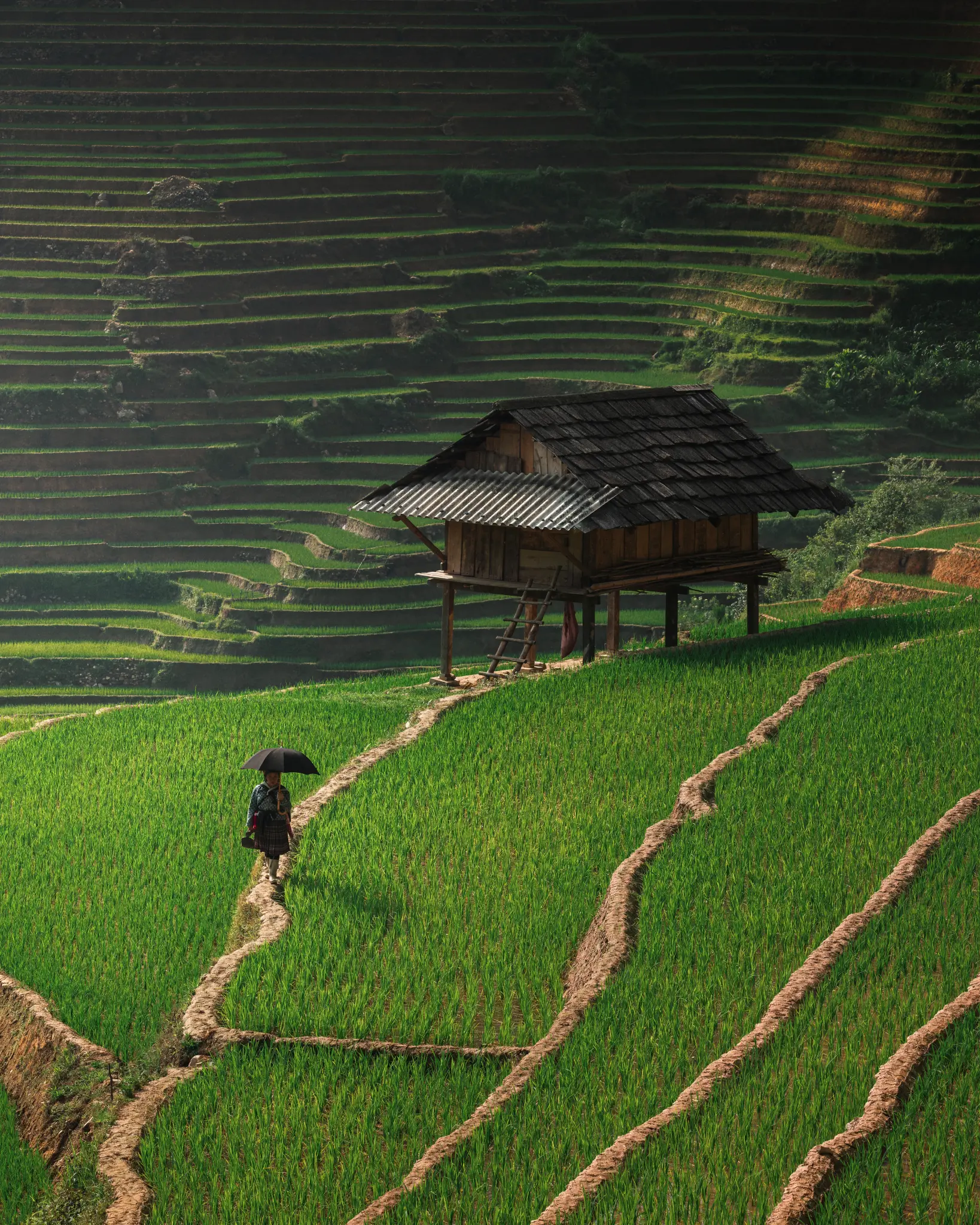 Jord Hammond’s Alluring Travel Photographs of Southeast Asia and Asia ...