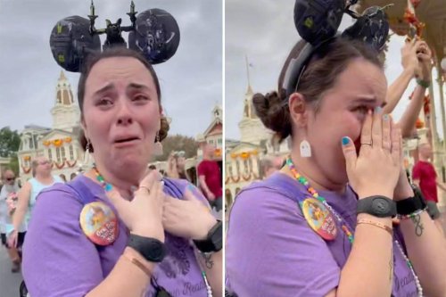 Crying ‘Disney adult’ mocked: ‘I was 4 and didn’t even react like this ...