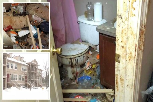 3 Michigan children found living alone in 'absolute squalor' after ...