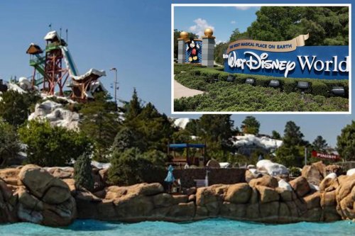 334-pound man sues Walt Disney World over injuries sustained on ...
