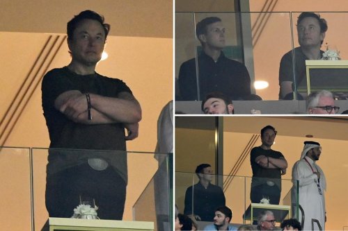 Elon Musk and Jared Kushner spotted together at World Cup final in ...