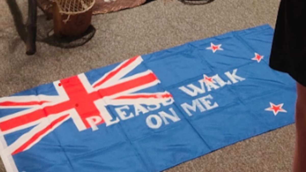 Suter Gallery: Nelson councillor blasts flag installation featuring ...