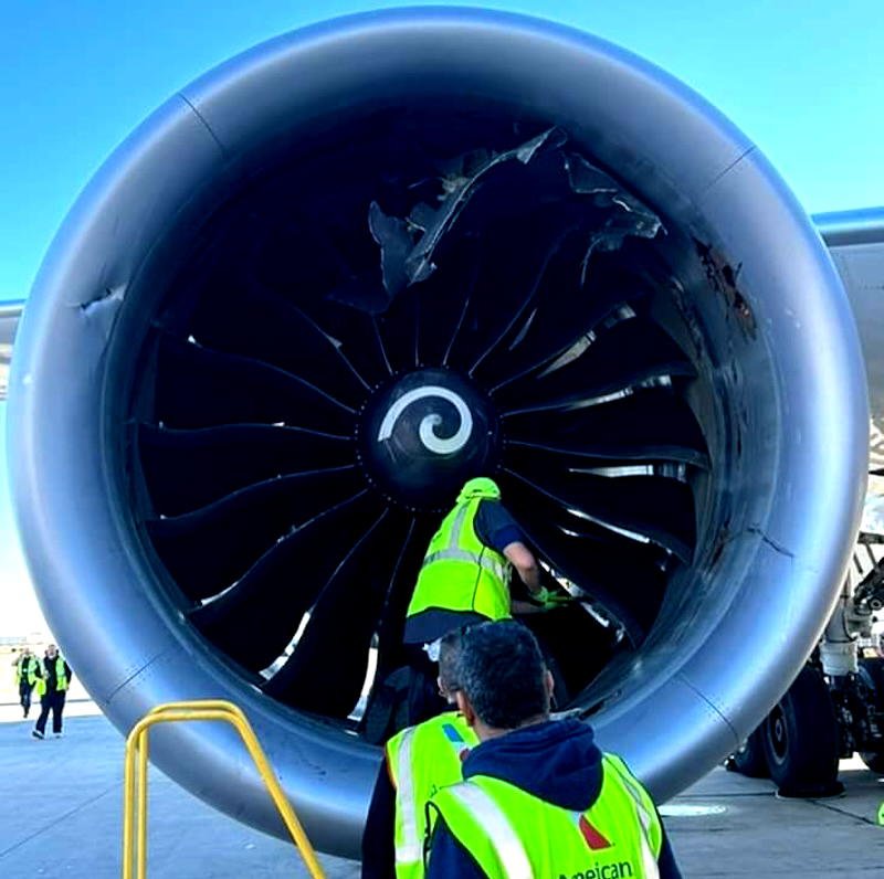 Ouch: American Boeing 787 Engine Ingests Cargo Container | Flipboard