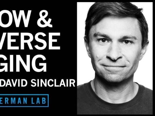 53-Year Old Harvard Scientist, Dr. David Sinclair, Takes Drugs And Supplements To Cut His Age By ...