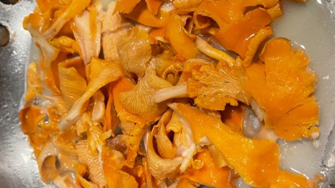 Paste Magazine (@PasteMagazine) on Flipboard