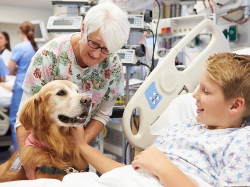 1 MD Medical Center Among Top 10 Children s Hospitals In U S Flipboard
