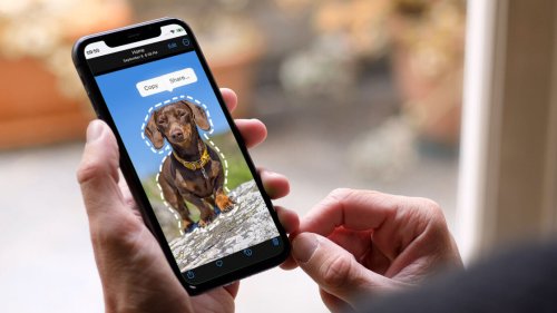 Apple s Live Text How To Copy And Paste From A Photo Or Video Flipboard