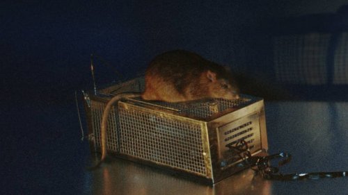 SBTRKT: The Rat Road | Flipboard