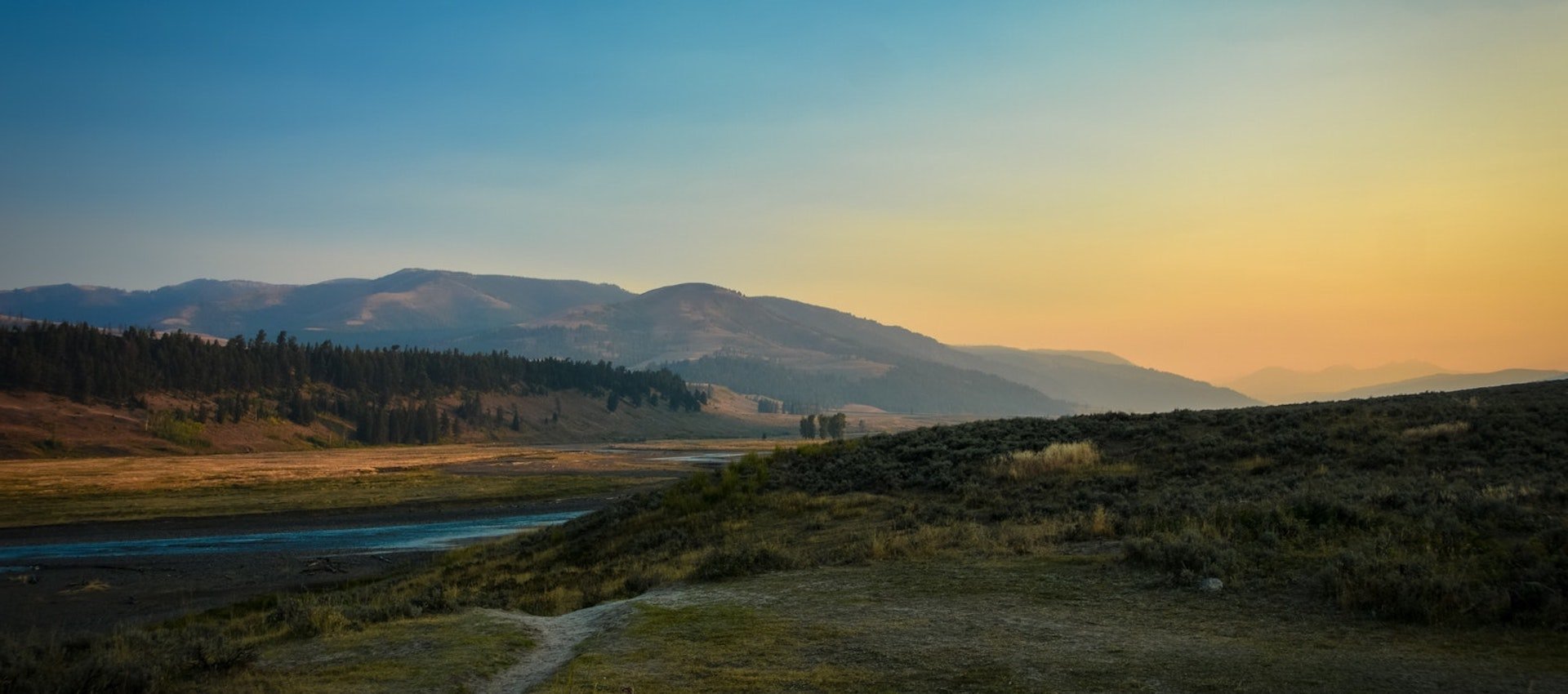 Restoring Biodiversity. | @Pitchstone | Flipboard