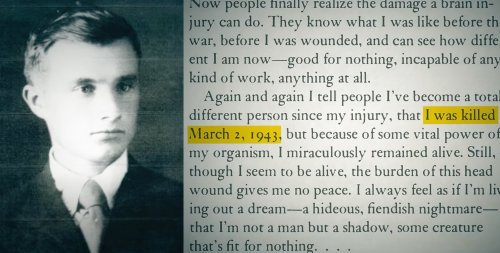 The man who lived with no brain | Flipboard