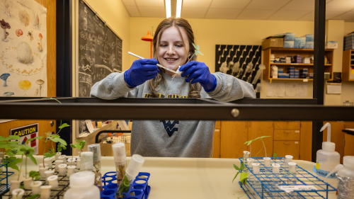 College student discovers mysterious fungus that eluded LSD’s inventor ...