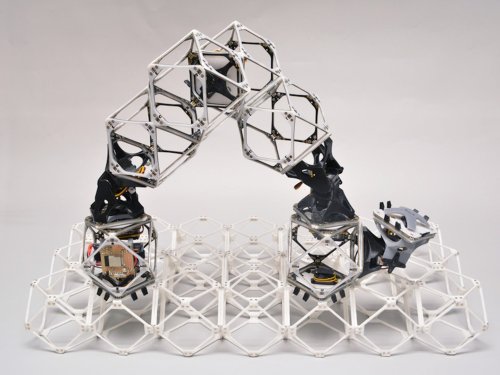 These robots can build almost anything—including clones of themselves ... These robots can build almost anything—including clones of themselves ...