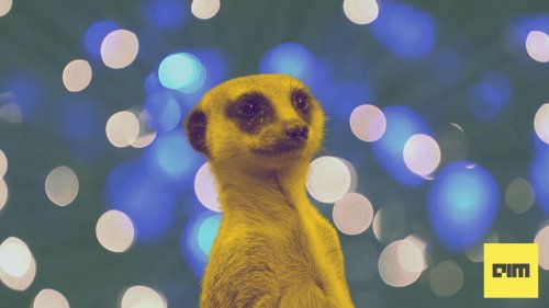 Meet Meerkat, A New Data Library To Wrangle Complex ML Datasets | Flipboard Meet Meerkat, A New Data Library To Wrangle Complex ML Datasets | Flipboard