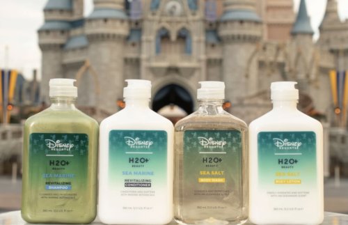 Bring Home Disney’s H20+ Line - The Main Street Mouse | Flipboard