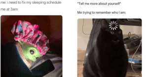 20 Funny and Relatable Memes That Perfectly Sum Up This Whole Existing ...
