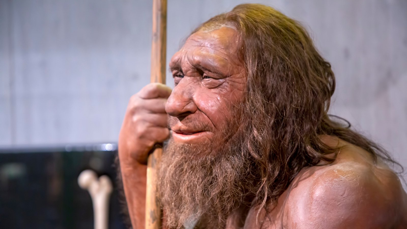 Neanderthals Were A Lot Smarter Than We Give Them Credit For | Flipboard