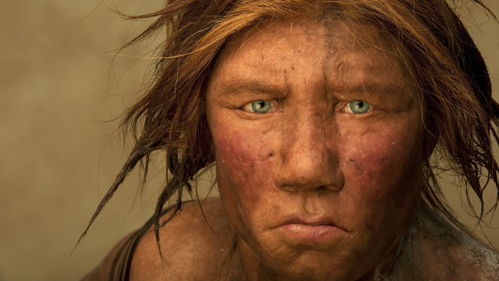 7 Ancient Species Of Humans That Went Extinct | Flipboard