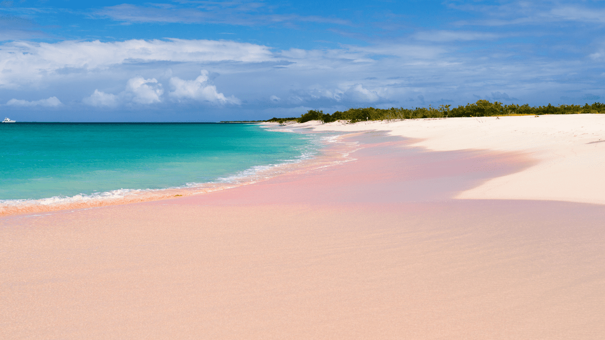 Pretty in Pink: 14 Beautiful Pink Sand Beaches to Visit This Year ...