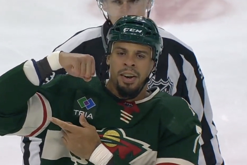 Watch: Ryan Reaves rocks Ross Johnson in fight, scores tying goal for ...