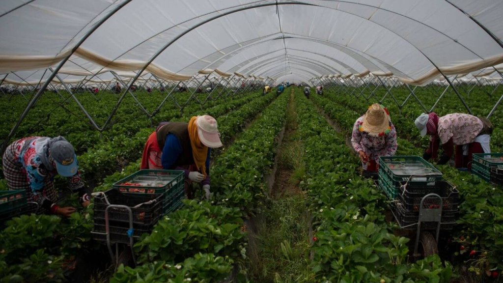 Brian Frazee (@LBLMT) on Flipboard