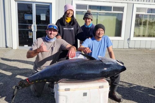 200-Pound, Hard-Fighting Bluefin Tuna Caught Off San Francisco | Flipboard