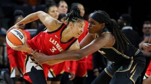 WNBA Nabs CarMax as a Marquee Partner for Changemaker Program | Flipboard