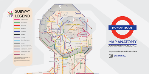 A Subway Map of Human Anatomy — Cool Infographics | Flipboard