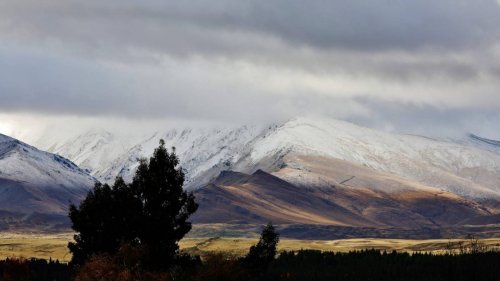 Timaru News | Timaru Herald | @NZStuff | Flipboard