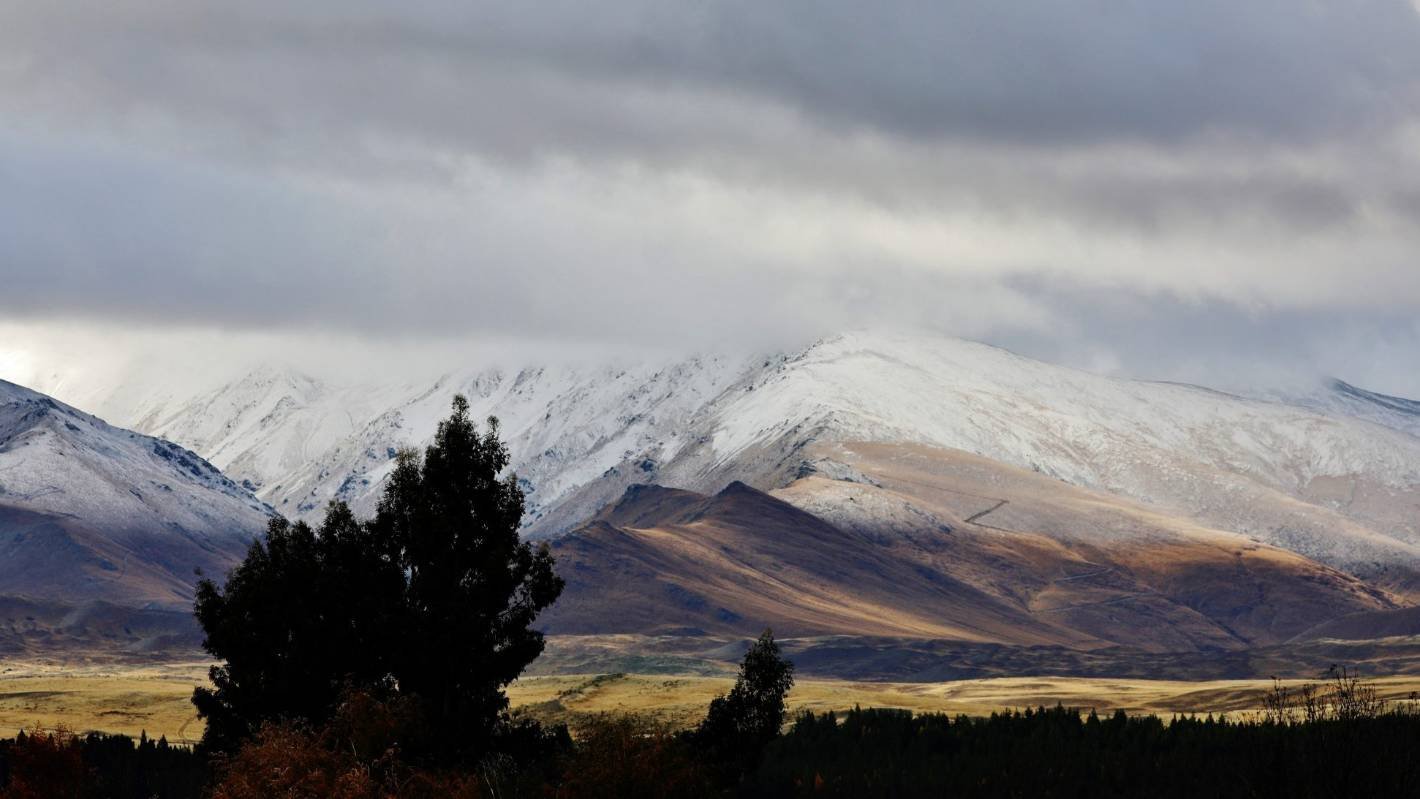 Timaru News | Timaru Herald | @NZStuff | Flipboard